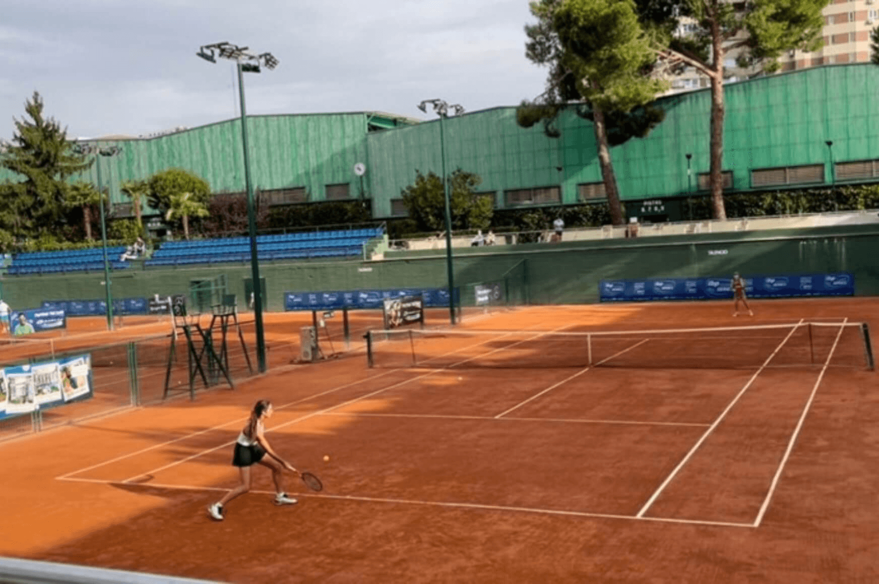 Amanda Montes - Experience | IE University