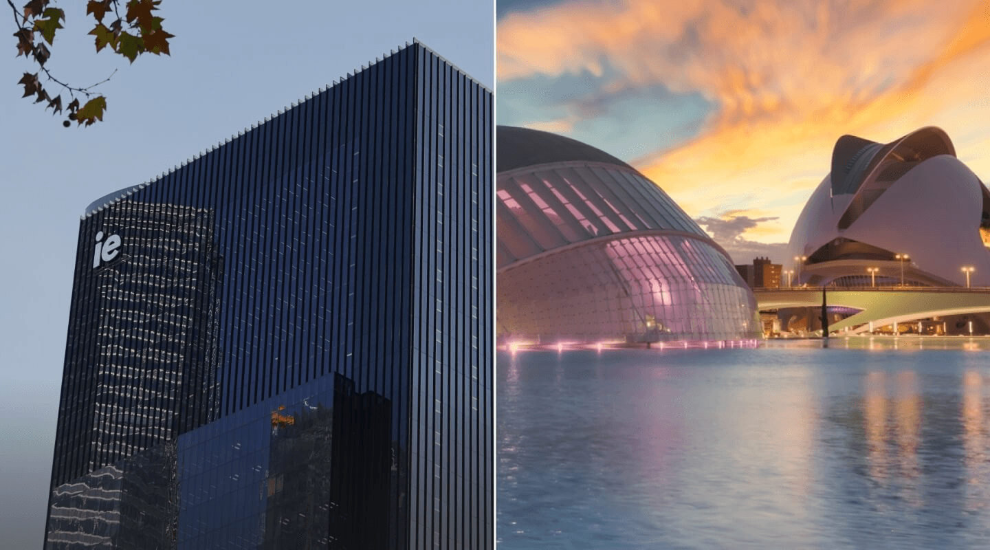 IE Lifelong Learning | IE