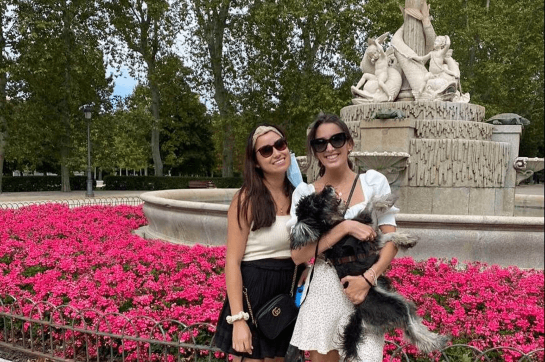 Ángela Brito - Experience | IE University