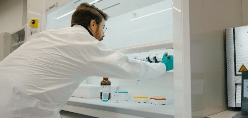 Explore Chemistry at IE University's Biogeochemistry Lab in Segovia