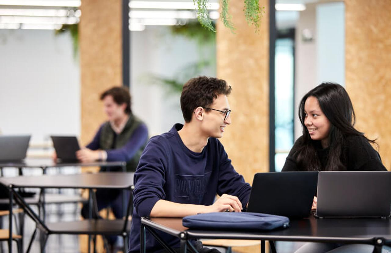 IE University Programs