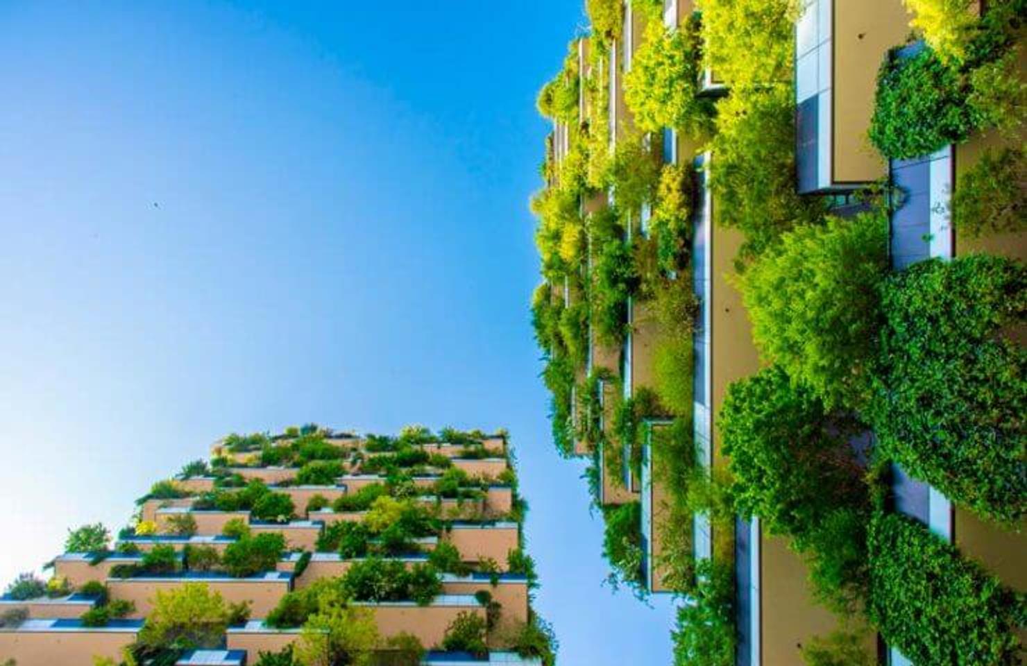 Center for Sustainable Cities | IE School of Architecture and Design