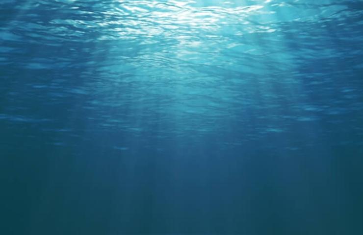 Global Advanced Management Program | IE Business School