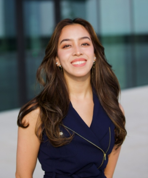 Elizabeth Sánchez Chang - Experience | IE University
