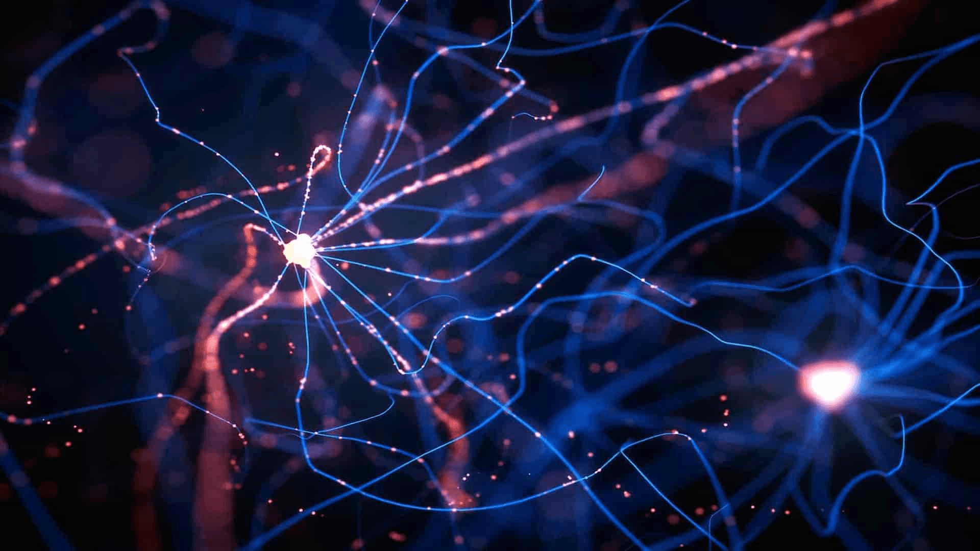 Bachelor in Computer Science & Artificial Intelligence | IE University Bachelor in Computer Science & Artificial Intelligence | IE University