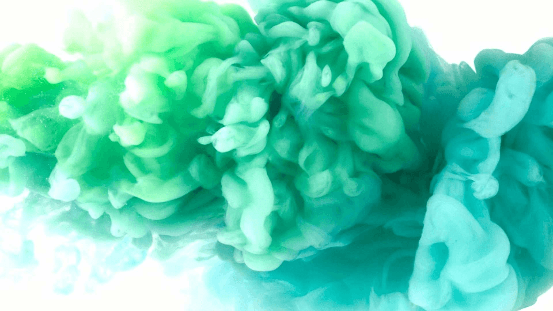 Dual Degree in Economics + Applied Mathematics