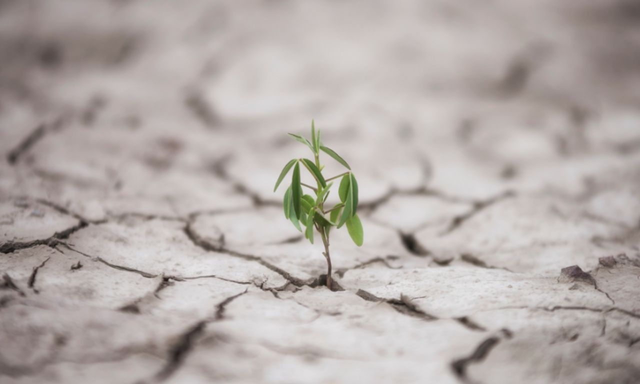 Embracing resilience: developing a growth mindset