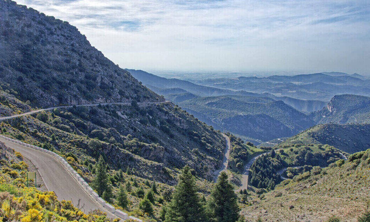 Adriana Rodríguez Rivera, LLB BIR 2020 | Alumni Story