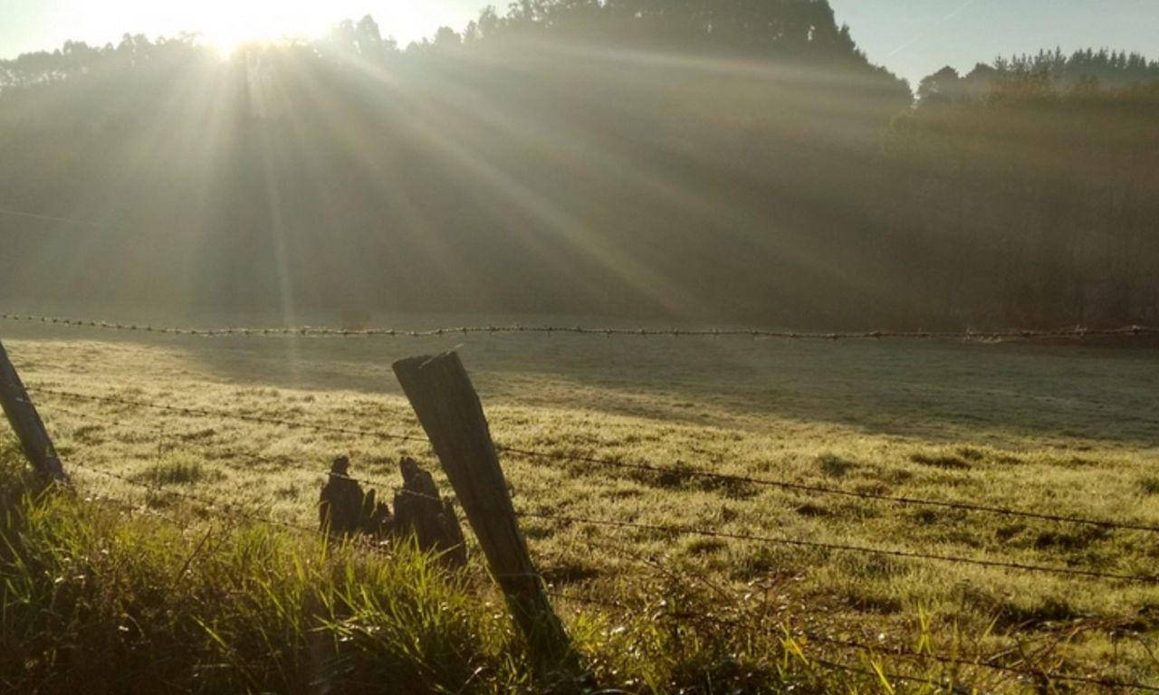 The science of gratitude: How being thankful can actually change your brain