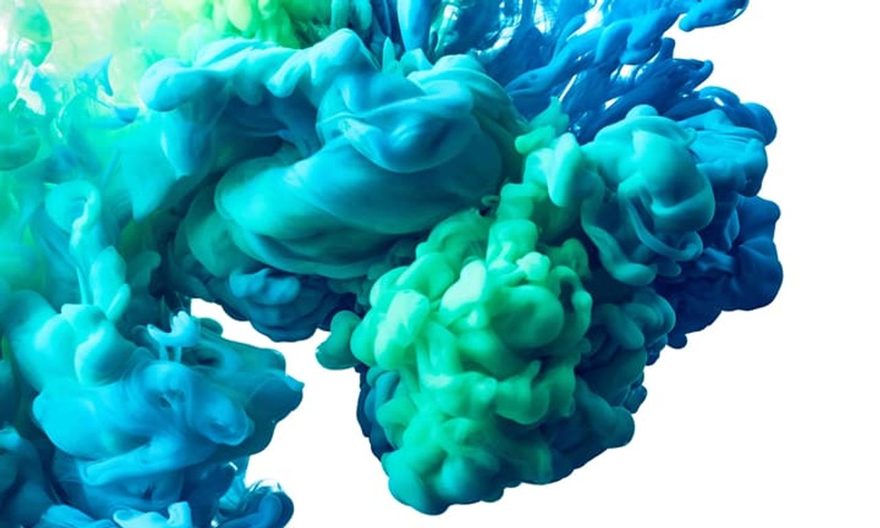 Business Administration and Political Science Dual Degree overview