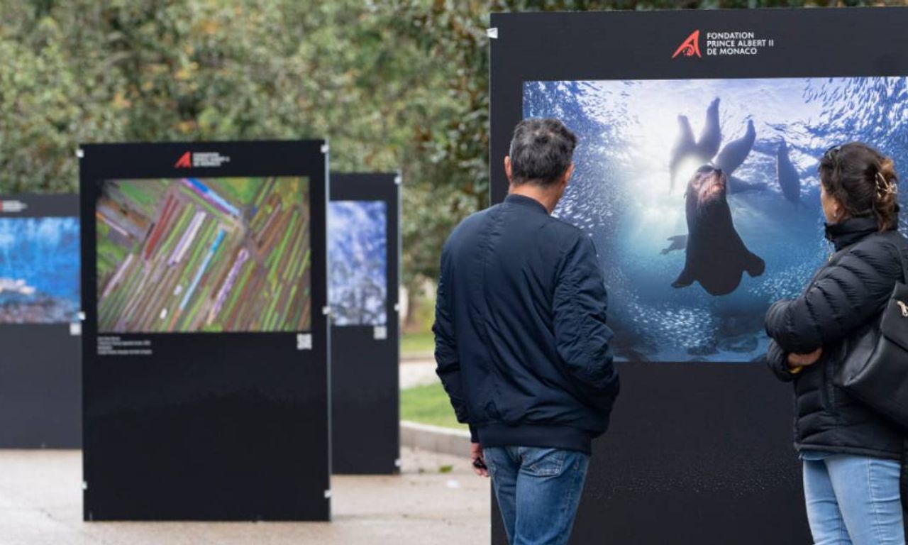 IE Foundation and Prince Albert II of Monaco Foundation seek to create ...