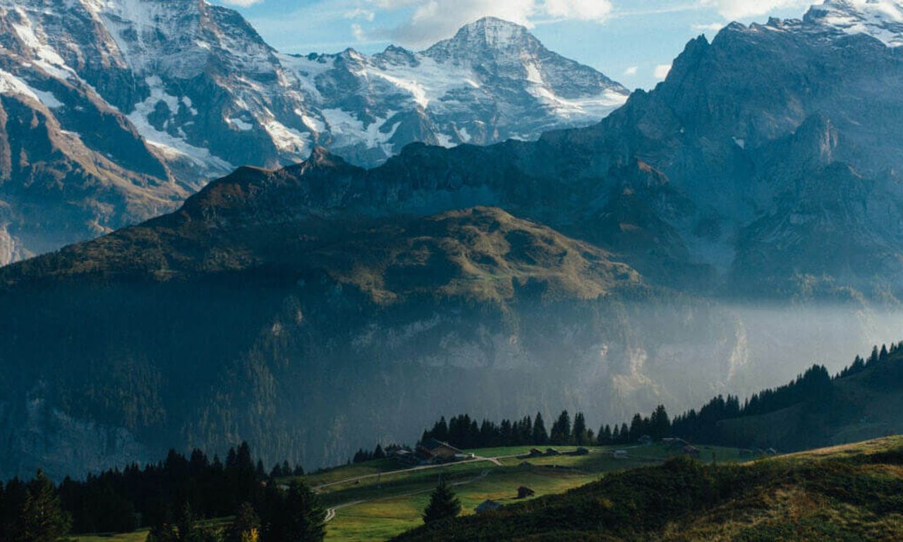 Luca Gerini - Experience | IE Business School