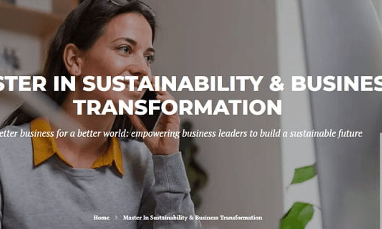 Master's in Sustainability and Business Transformation | IE
