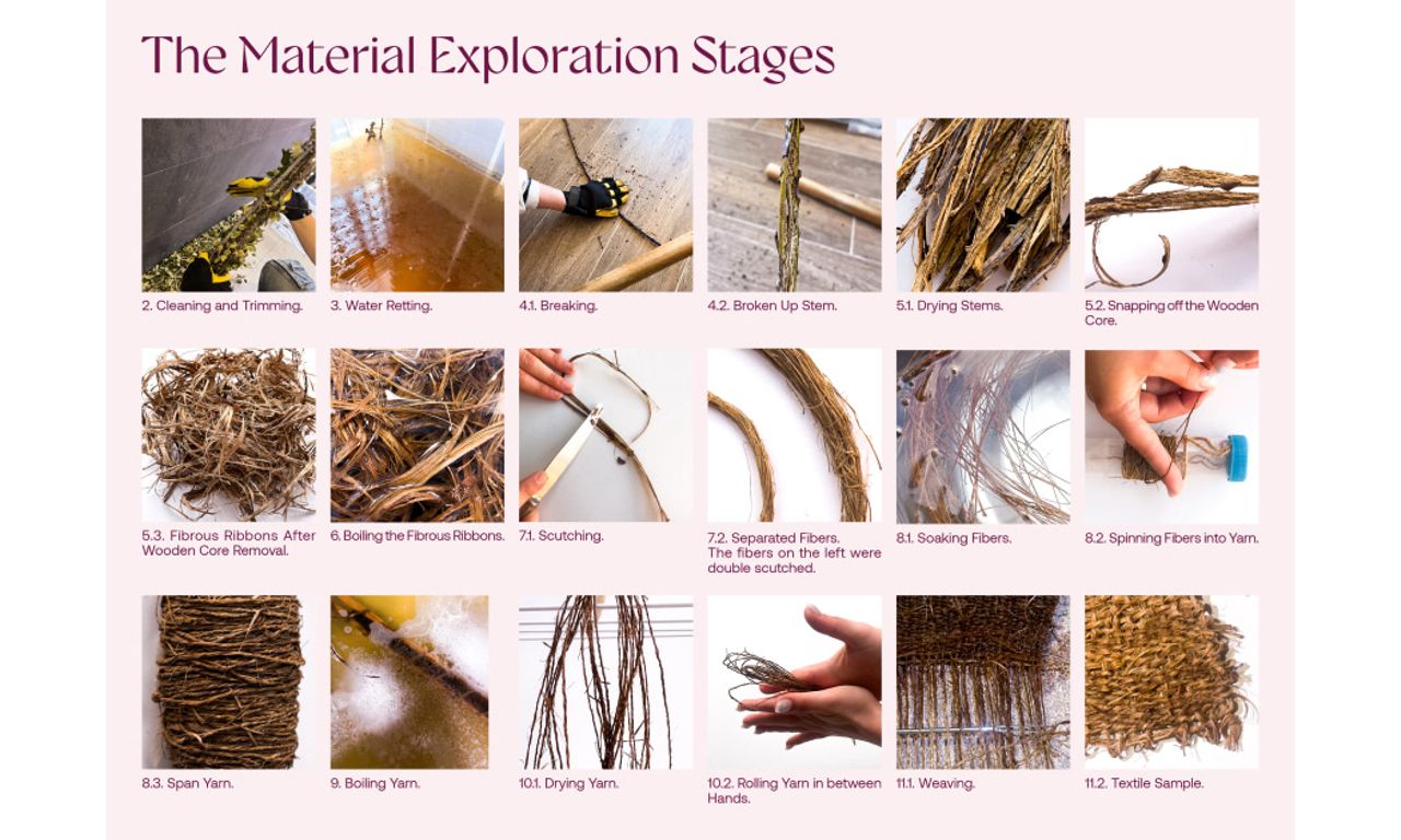 Reimagining the Textile Industry: Embracing the Diversity of Native ...