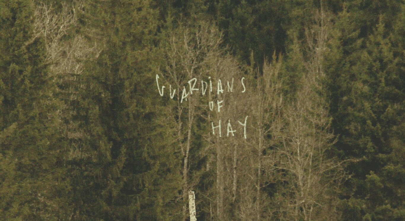 Guardians of Hay | IE
