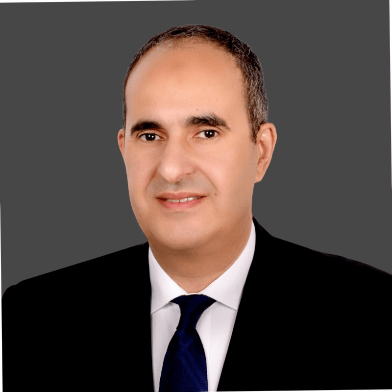 Camilla Gesimar - Experience | IE Business School