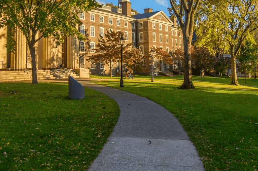 Business School Programs