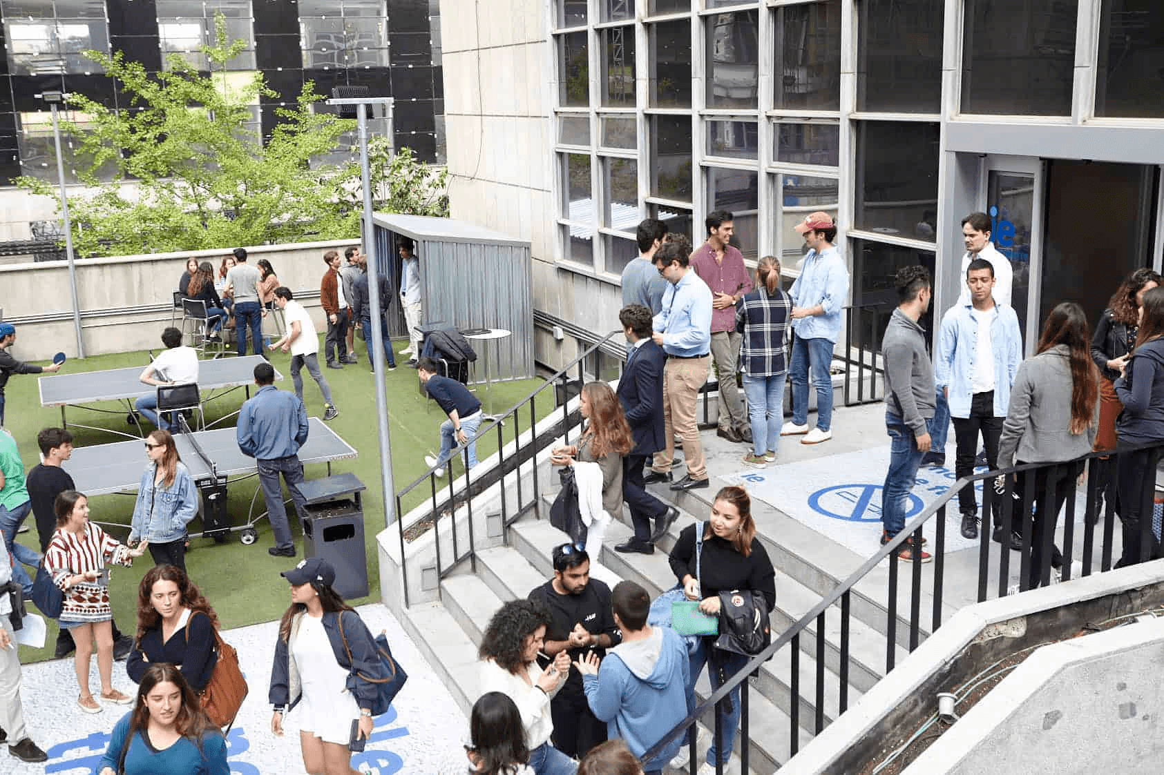 Bachelors | IE Business School