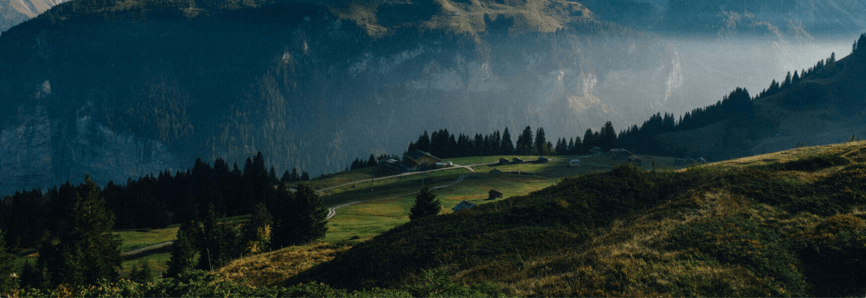 Luca Gerini - Experience | IE Business School